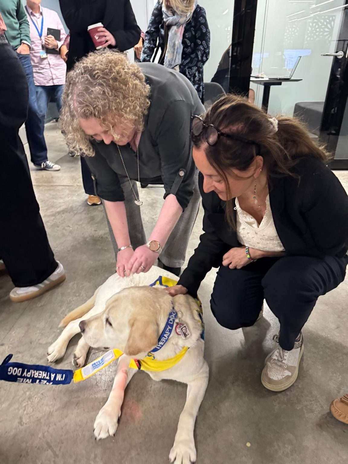 Agile Leadership in Action: 10 Innovation Lessons from Alder Hey ...